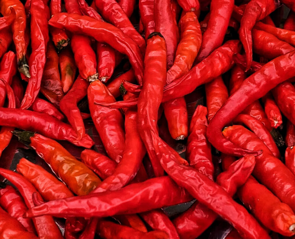 Red Chilli Exporters, Manufacturers & Suppliers in India | VLC Spices